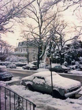 DYKER HEIGHTS, Brooklyn - Forgotten New York