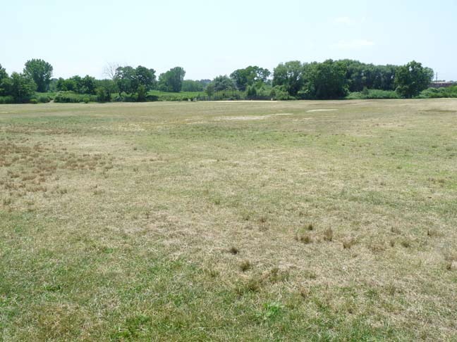 30.ballfields - Forgotten New York