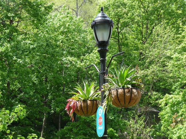 33.bacon.lamp - Forgotten New York