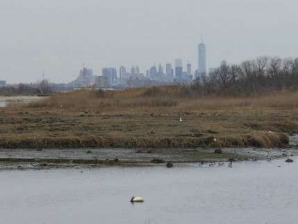 BROAD CHANNEL, 2016 - Forgotten New York