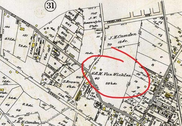 ORPHAN LINDEN, Ozone Park - Forgotten New York