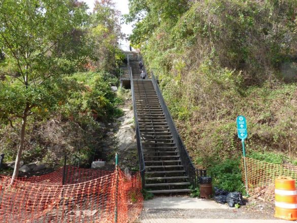 SUGAR HILL TO HIGHBRIDGE HEIGHTS - Forgotten New York