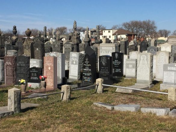 MAPLETON, Brooklyn - Forgotten New York