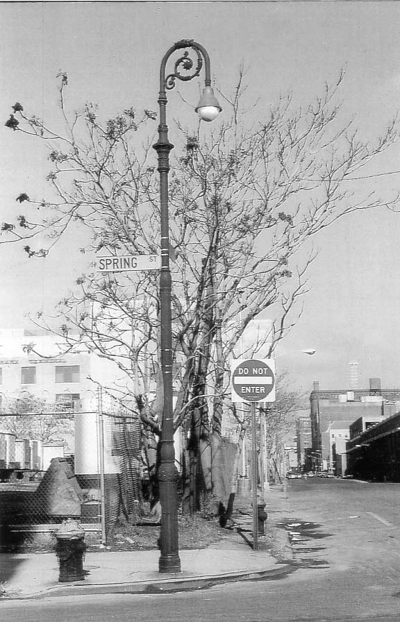 washington-spring - Forgotten New York