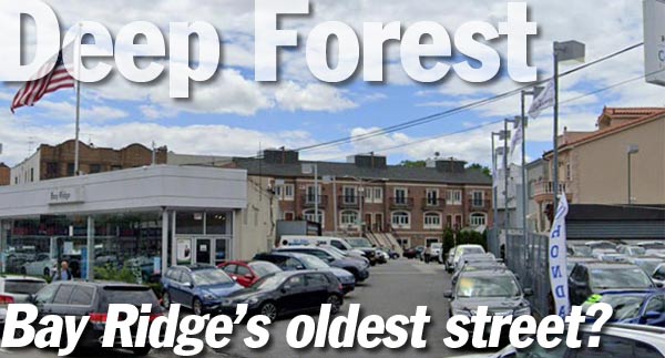 Forest Place - Forgotten New York