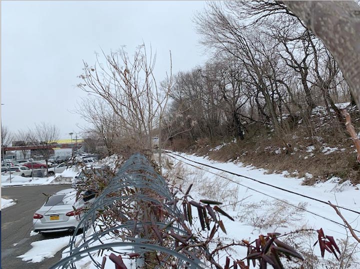 Brooklyn Terminal Market - Forgotten New York