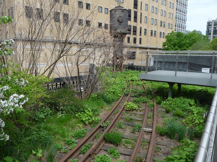 High Line - Forgotten New York