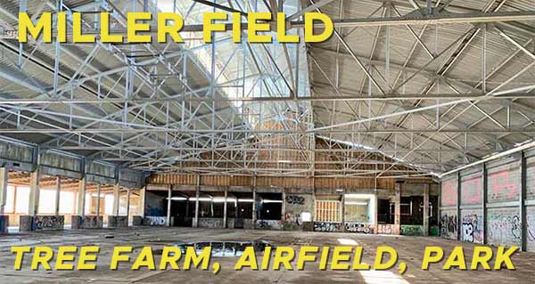 Miller Field - Forgotten New York