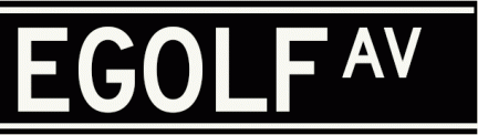 egolf - Forgotten New York