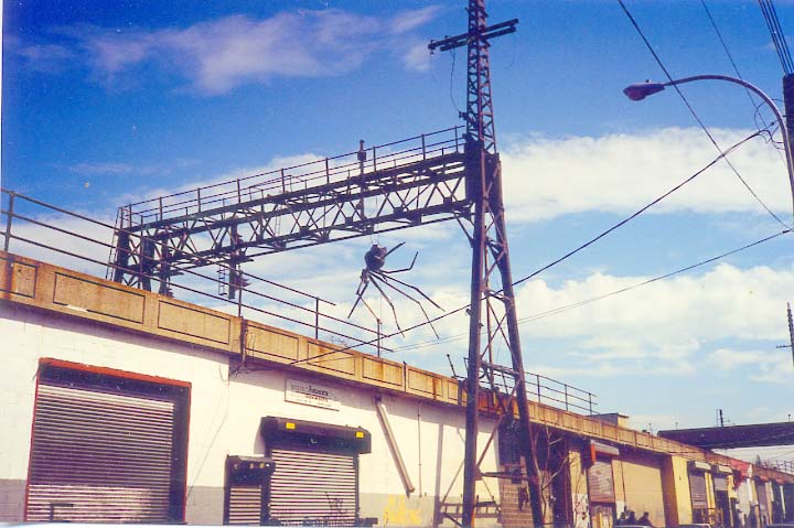 ozone-park-spider - Forgotten New York