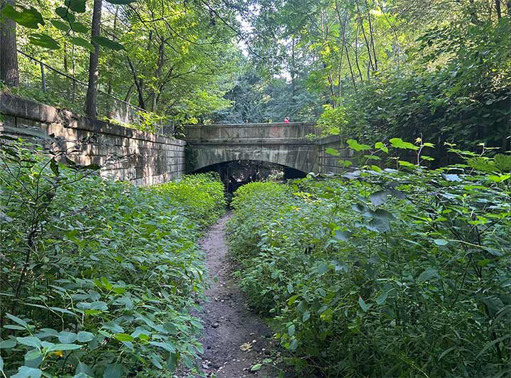 ravine - Forgotten New York