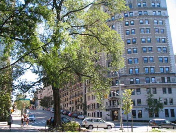 William Street - Forgotten New York